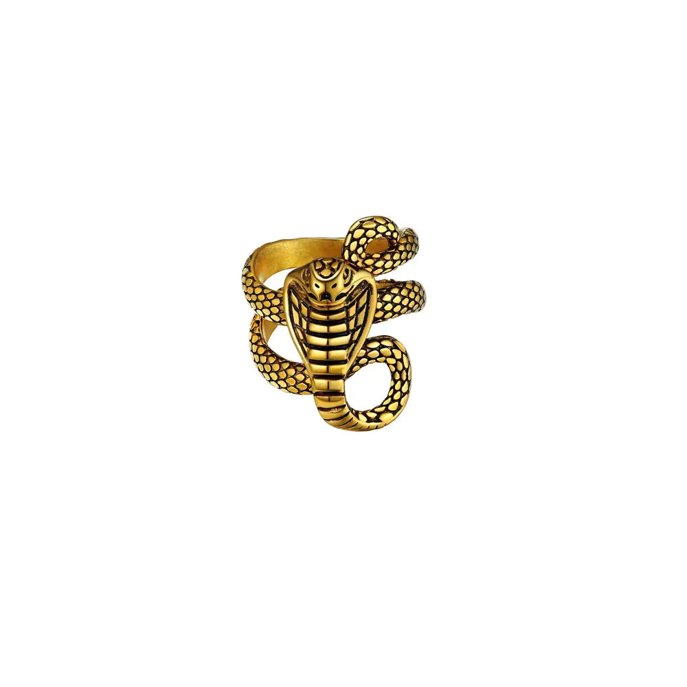 Stainless Steel Snake Ring | Snakes Store™
