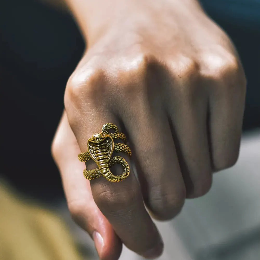Stainless Steel Snake Ring | Snakes Store™